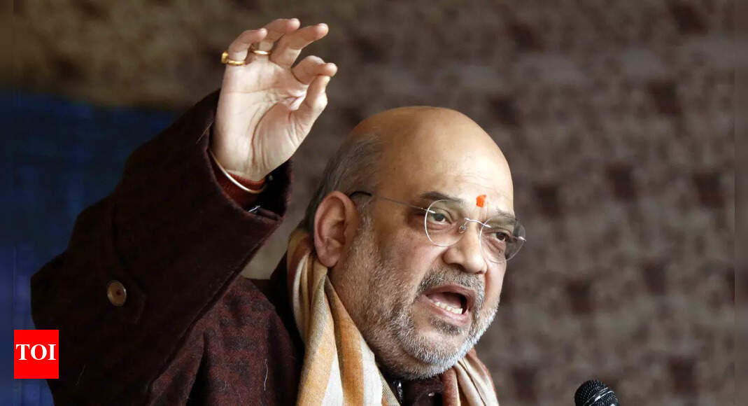 Peace and normalcy will be established in Jammu and Kashmir: Amit Shah | India News - Times of India