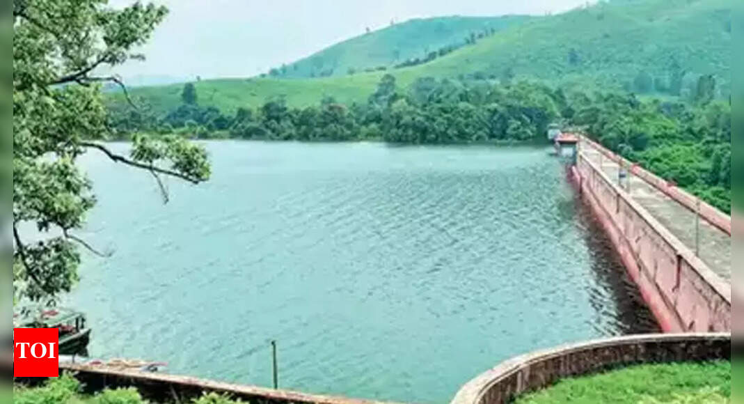 Kerala: Water level rises in Mullaperiyar dam | Kochi News - The Times ...