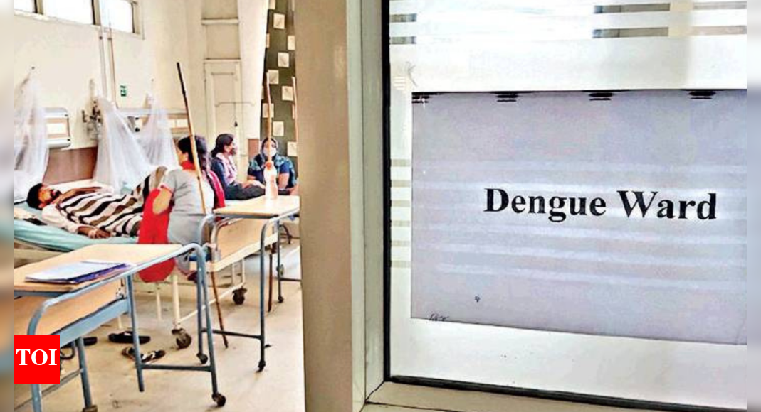 Three more dengue deaths in Mohali, Balongi worst-hit | Chandigarh News ...