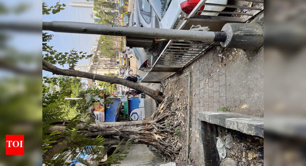 A blocked way - Times of India