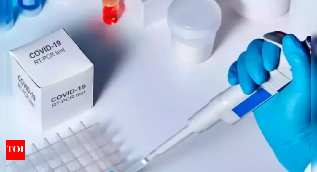 Rt-Pcr: RT-PCR report is passport to Surat after Diwali break | Surat ...