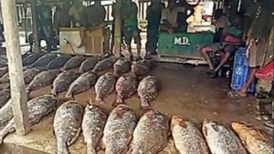 West Bengal: Digha fisherman turns crorepati overnight | Kolkata News ...