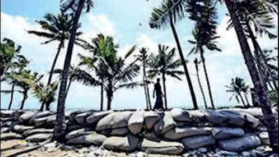 Kerala: Seawall renovation set to begin soon | Kochi News - Times of India
