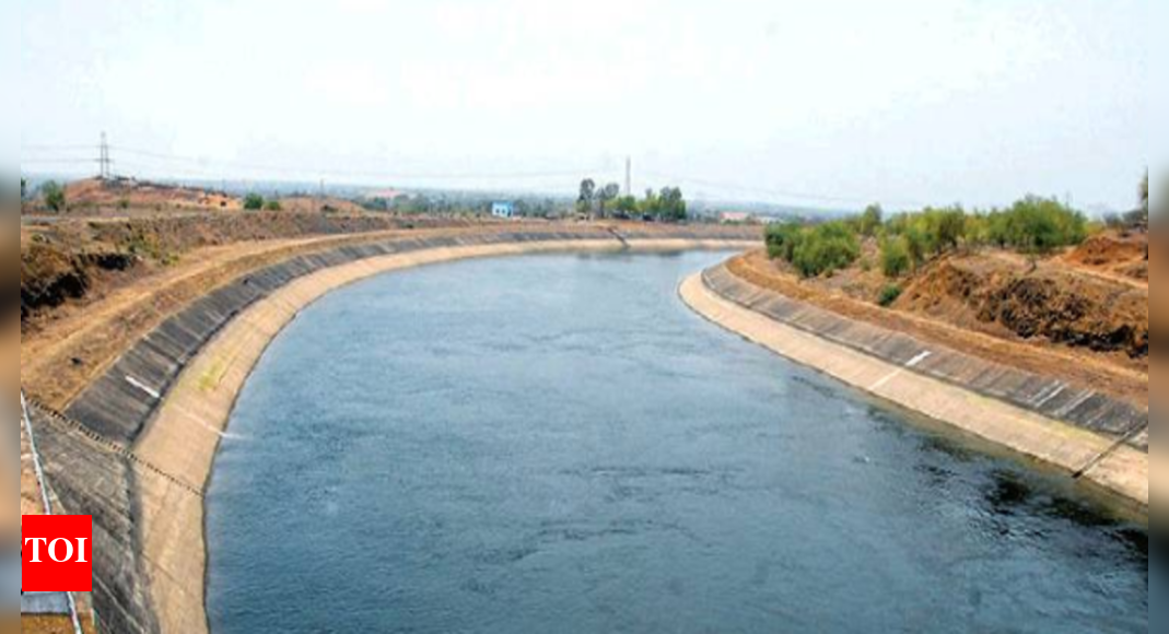 Gujarat: Gujarat: Rabi irrigation water from Saturday | Ahmedabad News ...