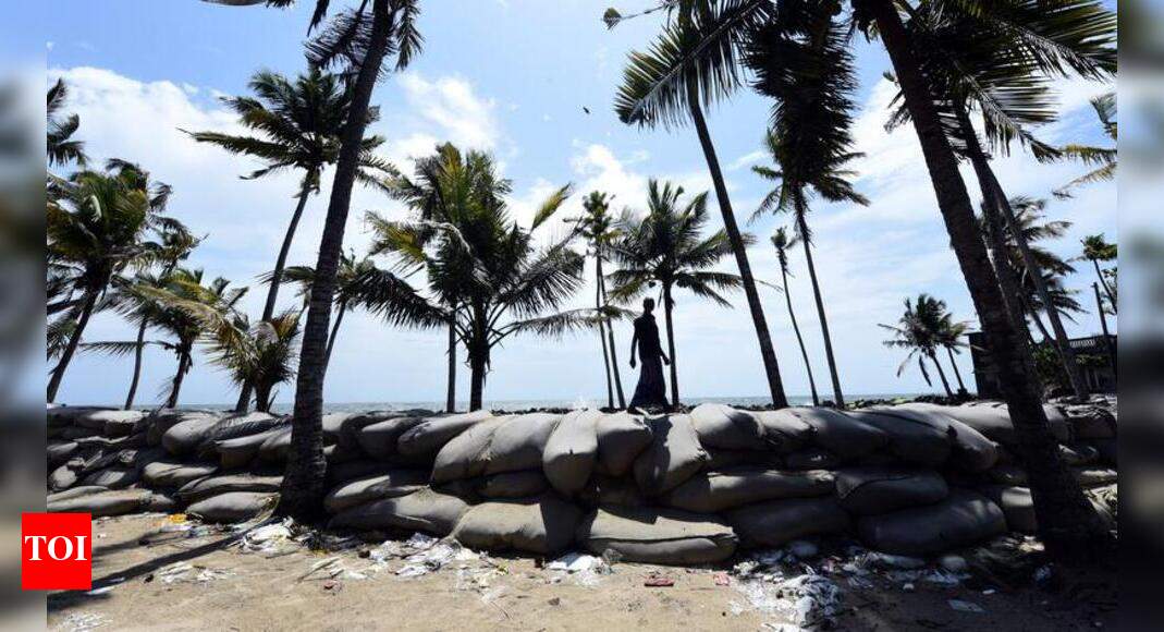 Seawall renovation set to begin soon | Kochi News - Times of India