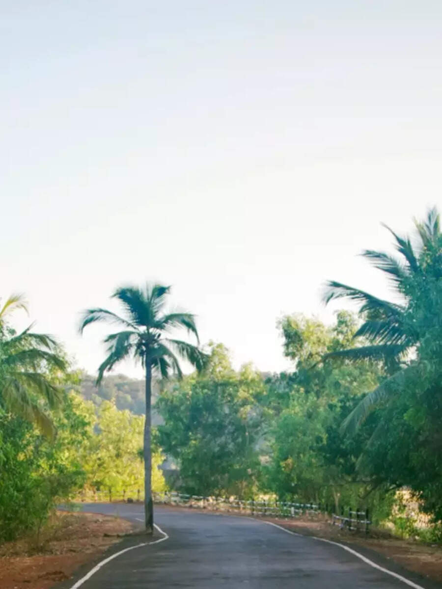 A Goan sojourn | Times of India