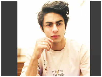 Did you know Aryan Khan is trained in martial arts? | Hindi Movie News ...