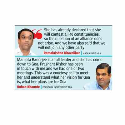 Local netas meet Didi, talk of anti-BJP stance | Goa News - Times of India