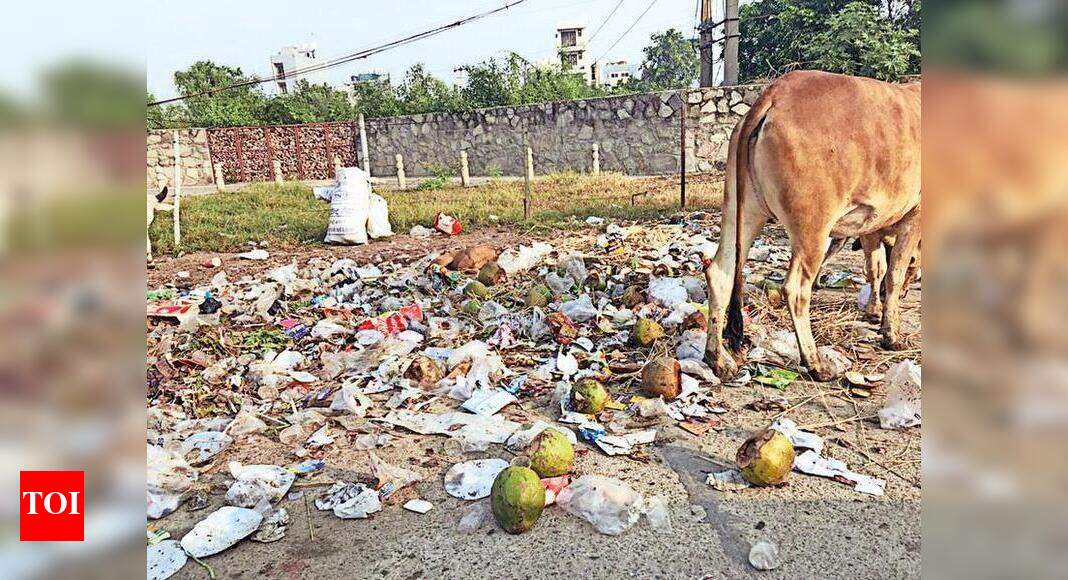 Rampant open dumping, a stinking problem for Sector 72 residents ...
