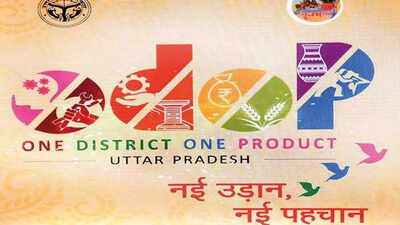UP: E-commerce site sold 2 crore ODOP products in 2020-21 | Lucknow ...