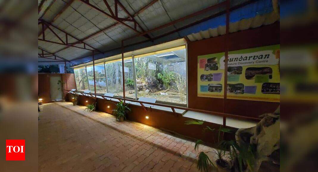 New snake house at Sundarvan | Ahmedabad News - Times of India