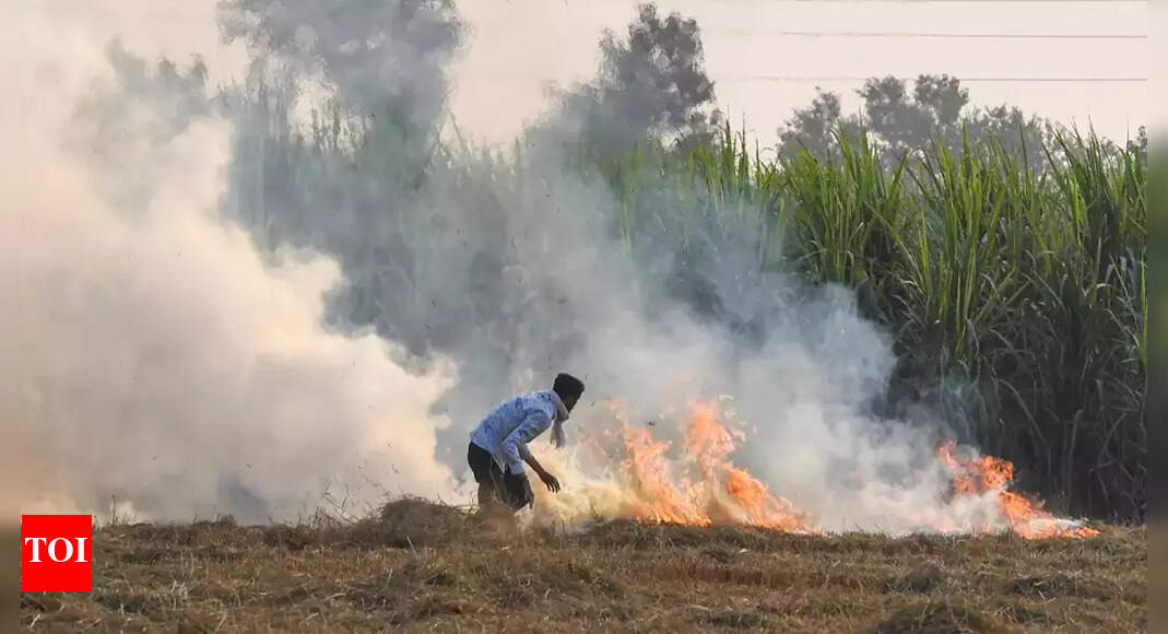 Delhi: At 3,971, single-day farm fires touch season's peak | Delhi News ...
