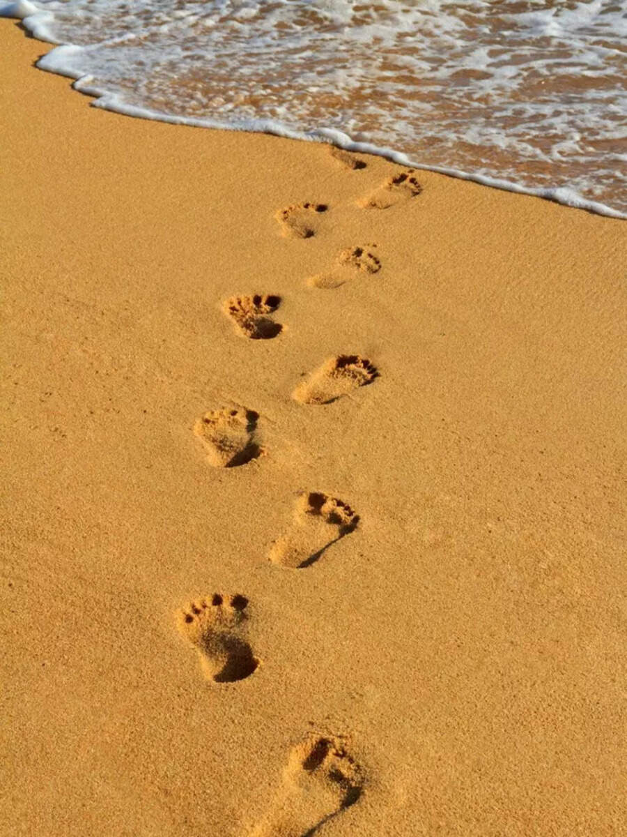 Festivals In November 2021: These festivals in November are the best ...