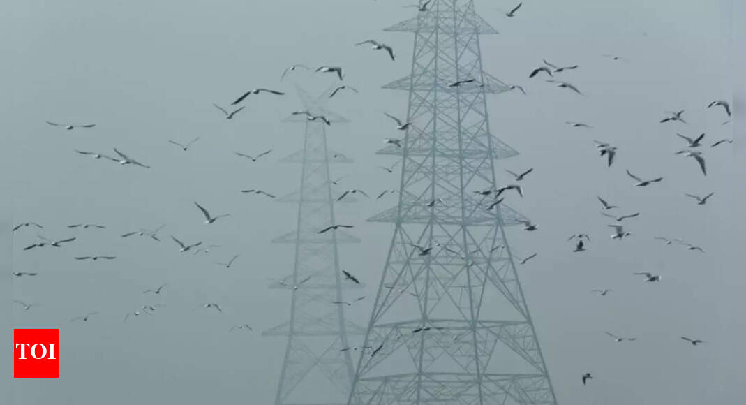 India's net zero 2070 goal will not hit peak oil demand target: HPCL ...