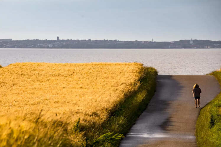 Denmark's most beautiful natural wonders | Times of India Travel