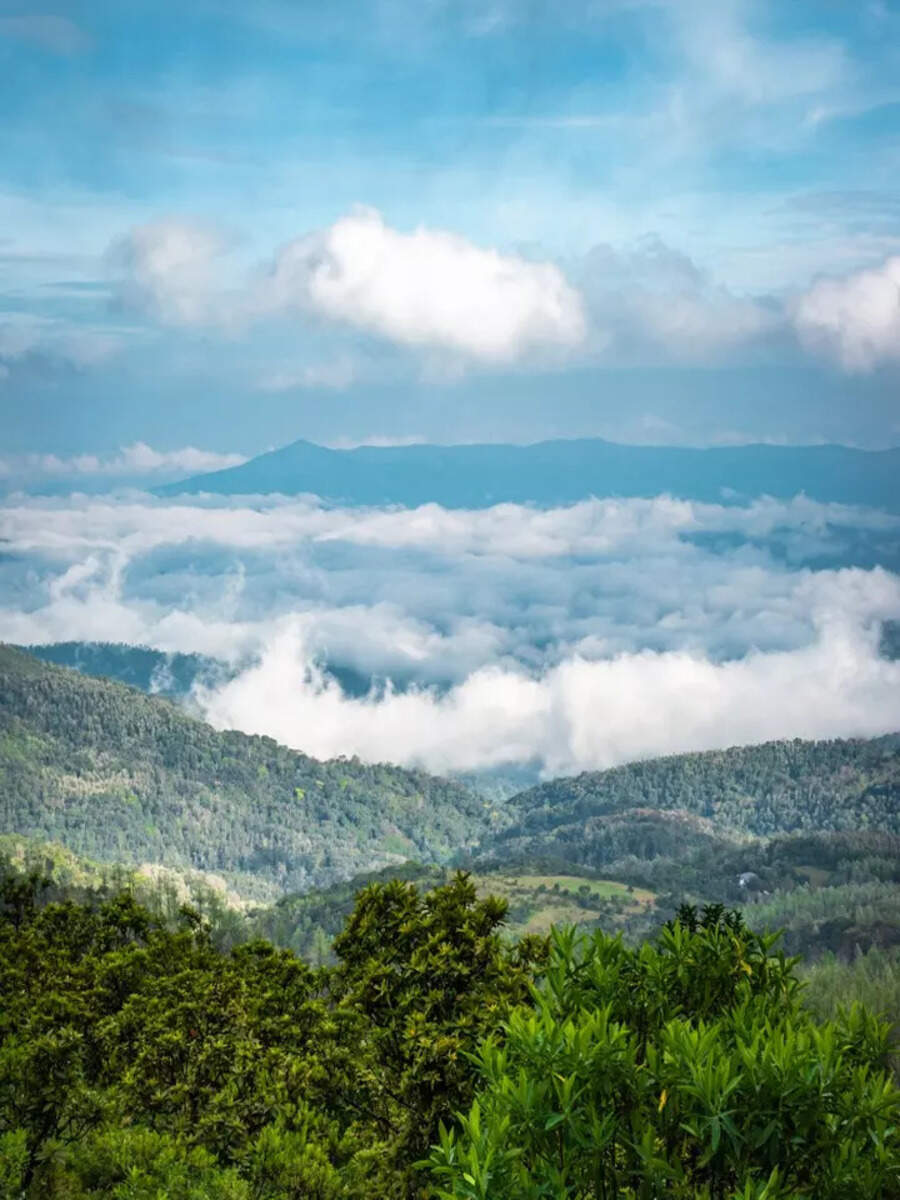 Coorg | Discovering Coorg, the ‘Scotland of India’ | Times of India
