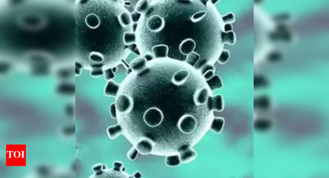 Covid-19 podcast: Did skin microbes keep India’s Covid death rate low?