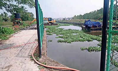 New lease of life for Andhakara thodu | Kochi News - Times of India