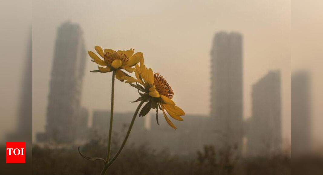 Gurgaon’s pollution level ‘severe’ for the second day in a row ...