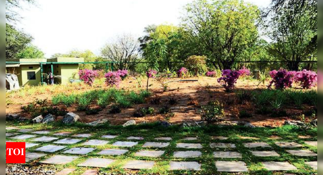 Jaipur Development Authority to spruce up Silvan Park to increase green ...