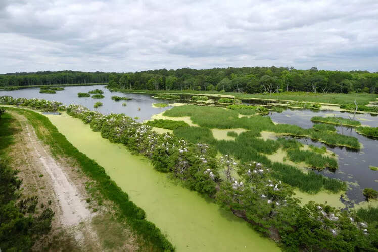 5 Delhi-NCR forests that you should definitely visit | Times of India ...