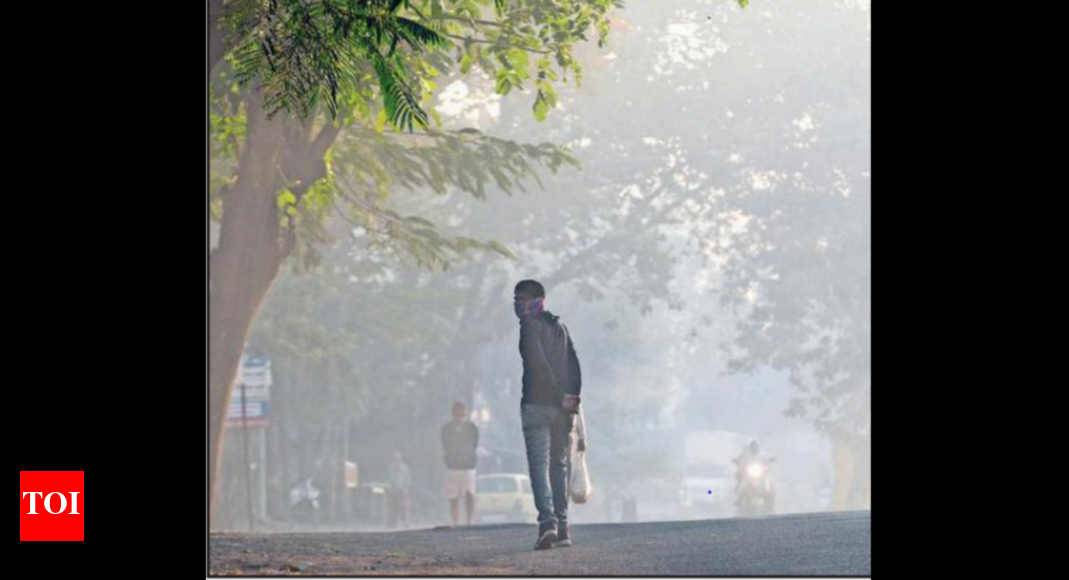 Nashik city’s temperature dips to 12.7 degrees celsius, Jalgaon coldest ...