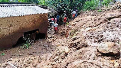 Wayanad: Kerala: Wayanad model mooted for Kottayam | Kozhikode News ...