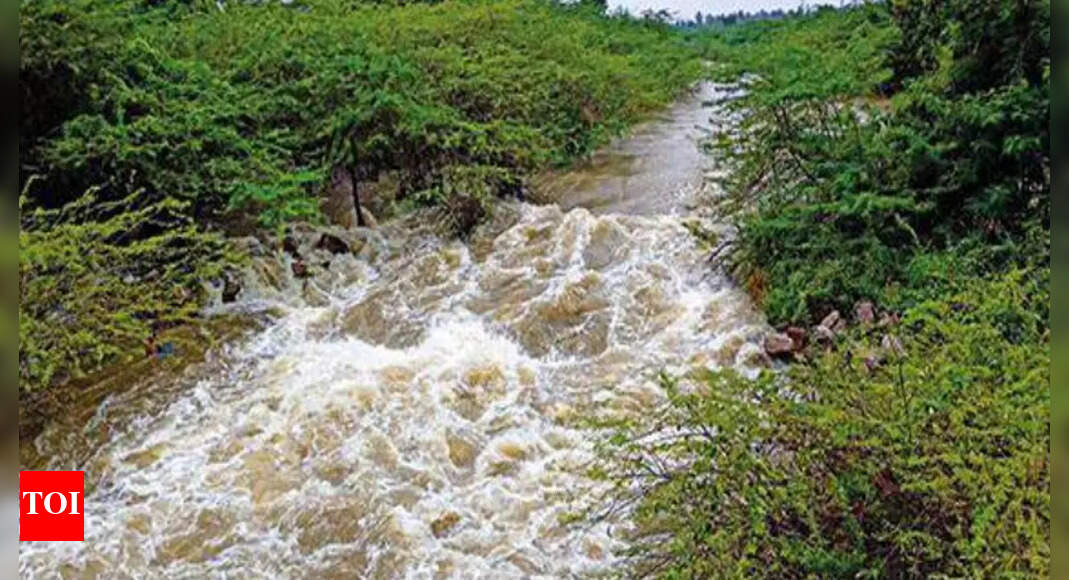 Trichy: Rain eases in Trichy, floodwaters recede in residential areas ...