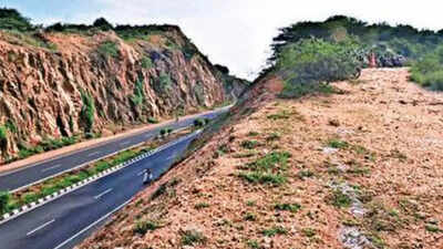 Sivanthipatti: TN: Porunai museum to come up near Sivanthipatti hillock ...