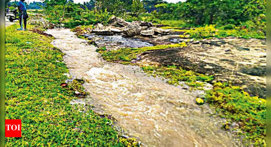 Kothavadi: Kinathukadavu farmers upbeat as water released to Kothavadi ...