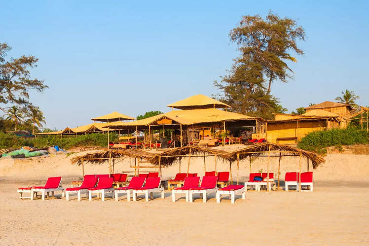 Goa Beach Shacks: Dreamy beach shacks in Goa for some fun time! | Times ...