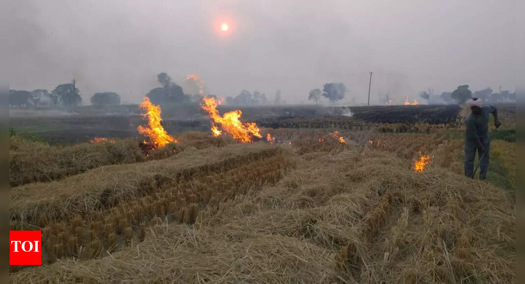 Farm fires: Trendsetter for 2 years, Patiala village now back to usual ...