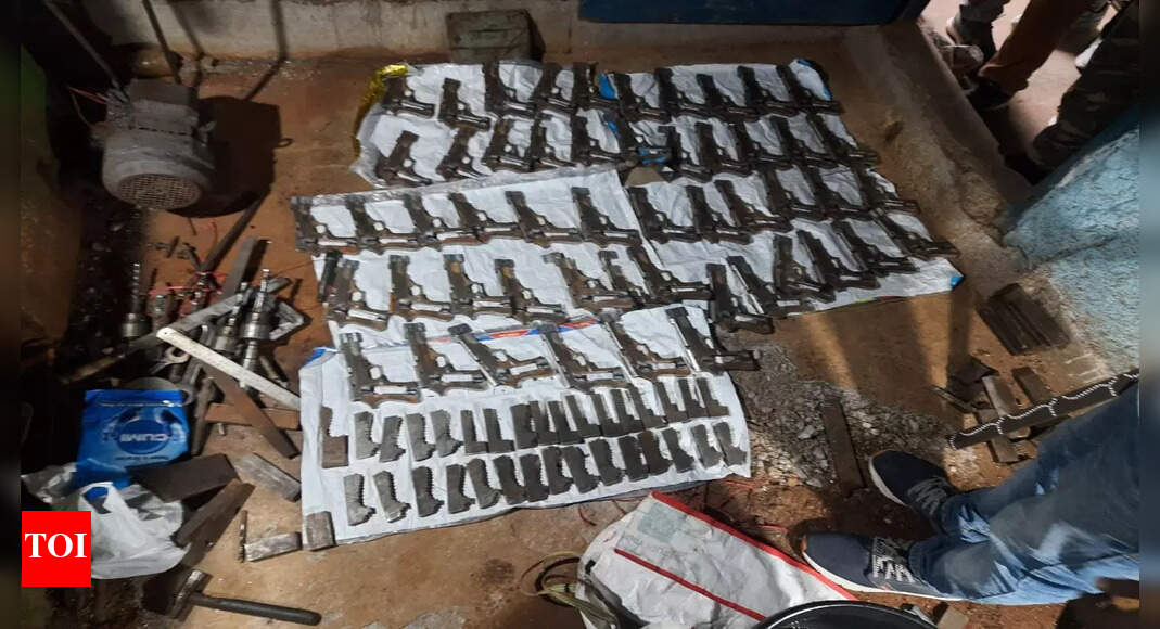 Bihar: STF trails arms smugglers for 300km, unearths gun factory in ...