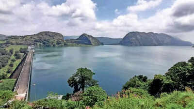 Idukki: Opening of Cheruthoni dam shutters deferred | Kochi News ...
