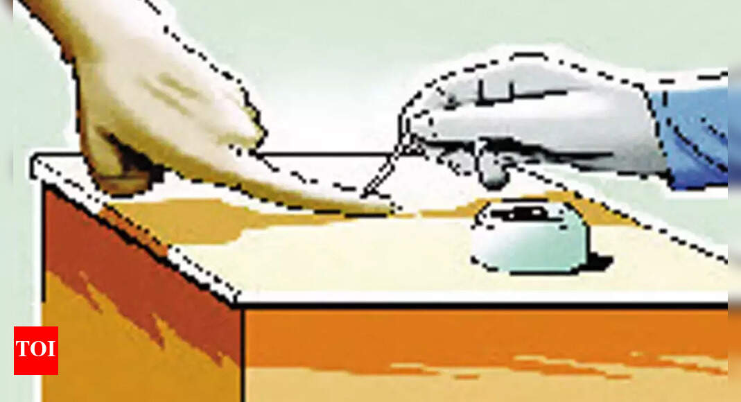 Karnataka: ZP-TP members can’t vote in council elections | Bengaluru News - Times of India