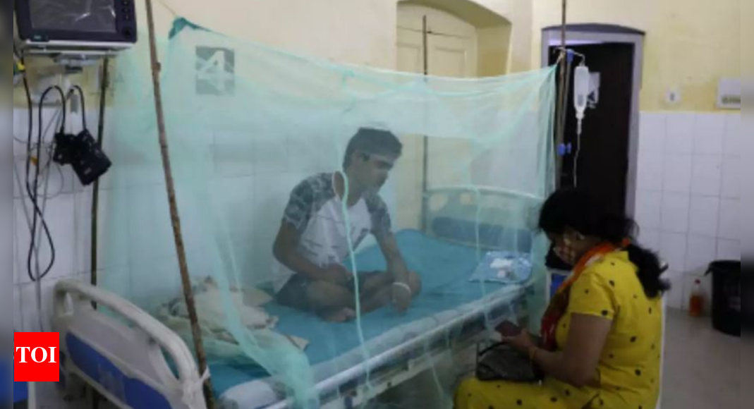 Pakistan round-up: Mystery virus spreading in Karachi, country stares ...