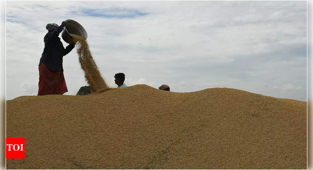 Andhra Pradesh: Paddy procurement on with 50 lakh tonnes target ...