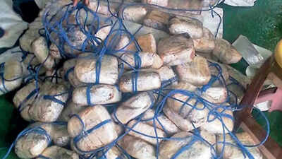 Change in Afghan regime: Pakistani drug lords clear stocks | Ahmedabad ...