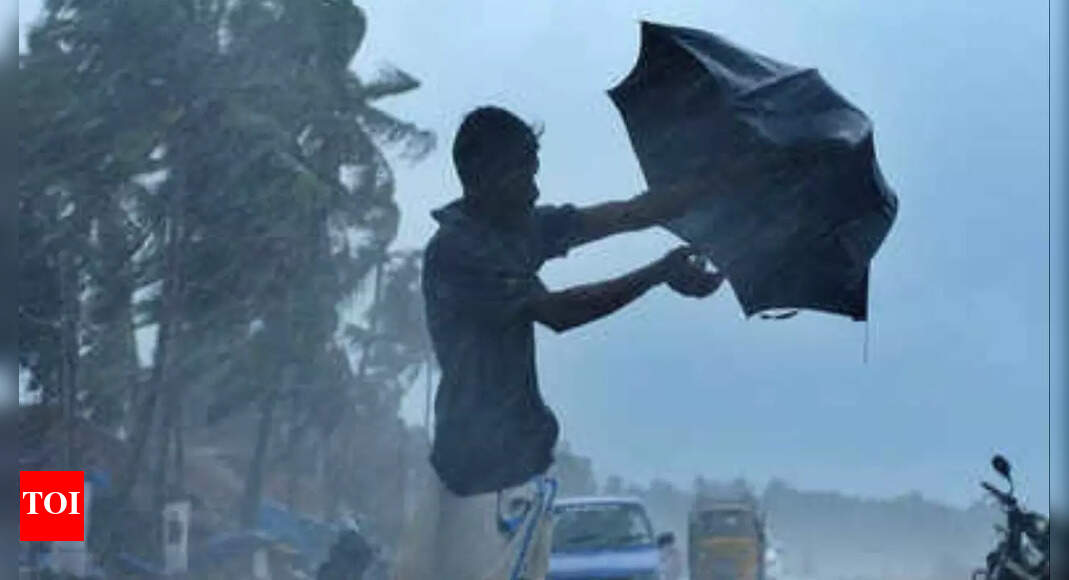 Kerala: Rainfall subsides but IMD forecasts more | Kochi News - Times ...