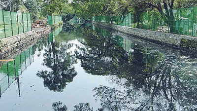 Kochi: Canal rejuvenation project yet to get green clearance | Kochi ...
