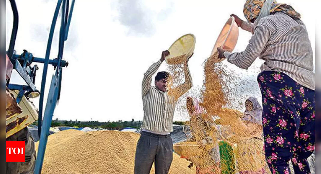 Monkey menace forces ryots to stay away from other crops | Hyderabad ...