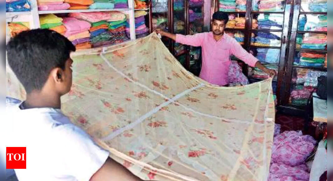 Mosquito: Mosquito nets in demand, prices go up as dengue fear strikes ...