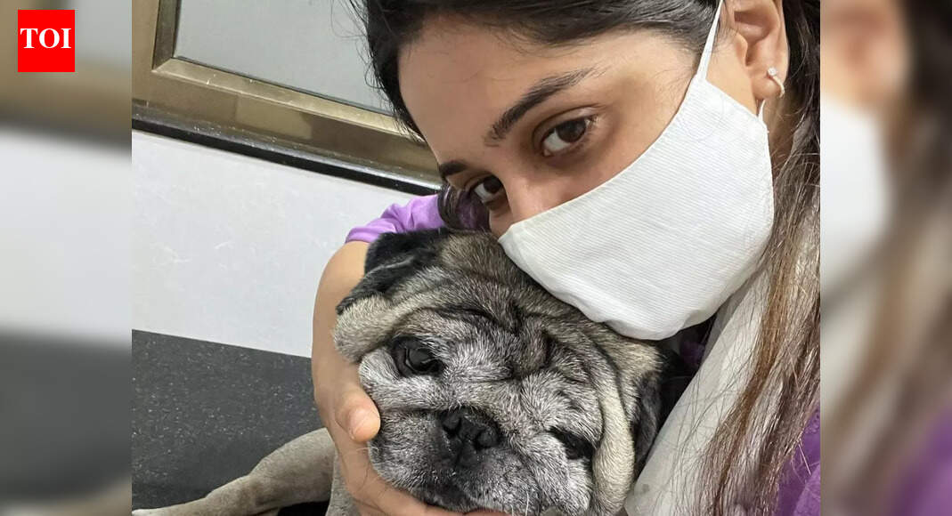 Dipika Kakar loses her dog Cuddle; shares last picture with her furry ...