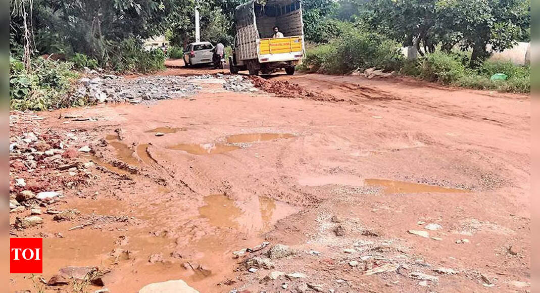 Bengaluru: 3 years on, Jalahalli residents wait to get 100m pothole ...