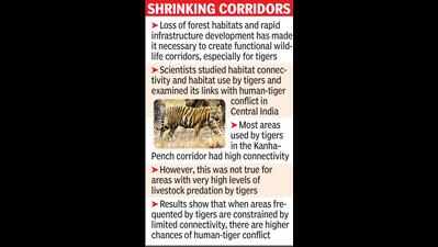 Human-tiger conflict due to limited connectivity: Study | Nagpur News ...