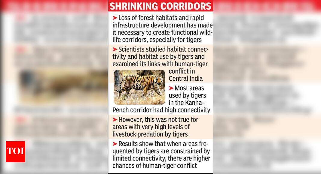 Human-tiger conflict due to limited connectivity: Study | Nagpur News ...