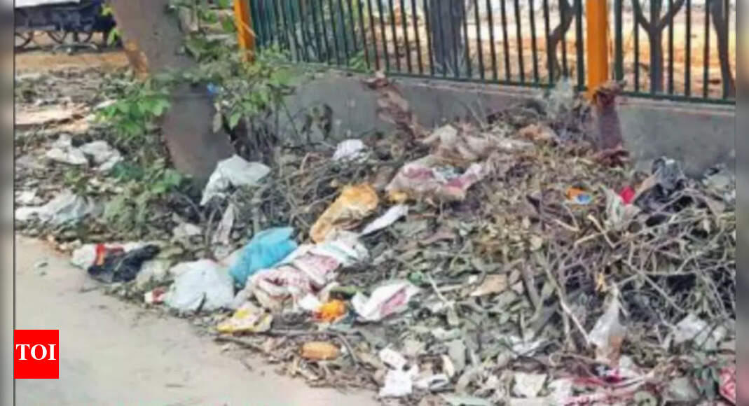 Gurugram: Mounds of trash at parks, roads and vacant plots, nobody to ...