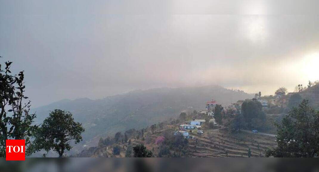 Temperature drops below freezing point in Binsar | Dehradun News ...