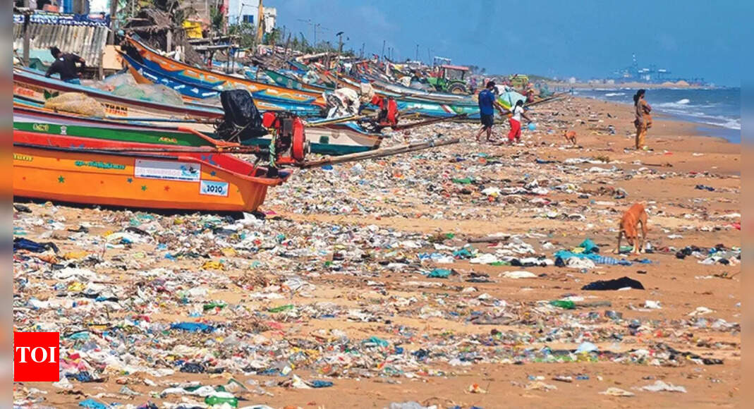 Chennai rivers carry our litter to beaches | Chennai News - The Times ...