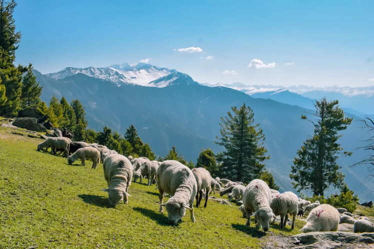 Himalayan Getaways: 10 places in the Himalayas for year's last mountain ...